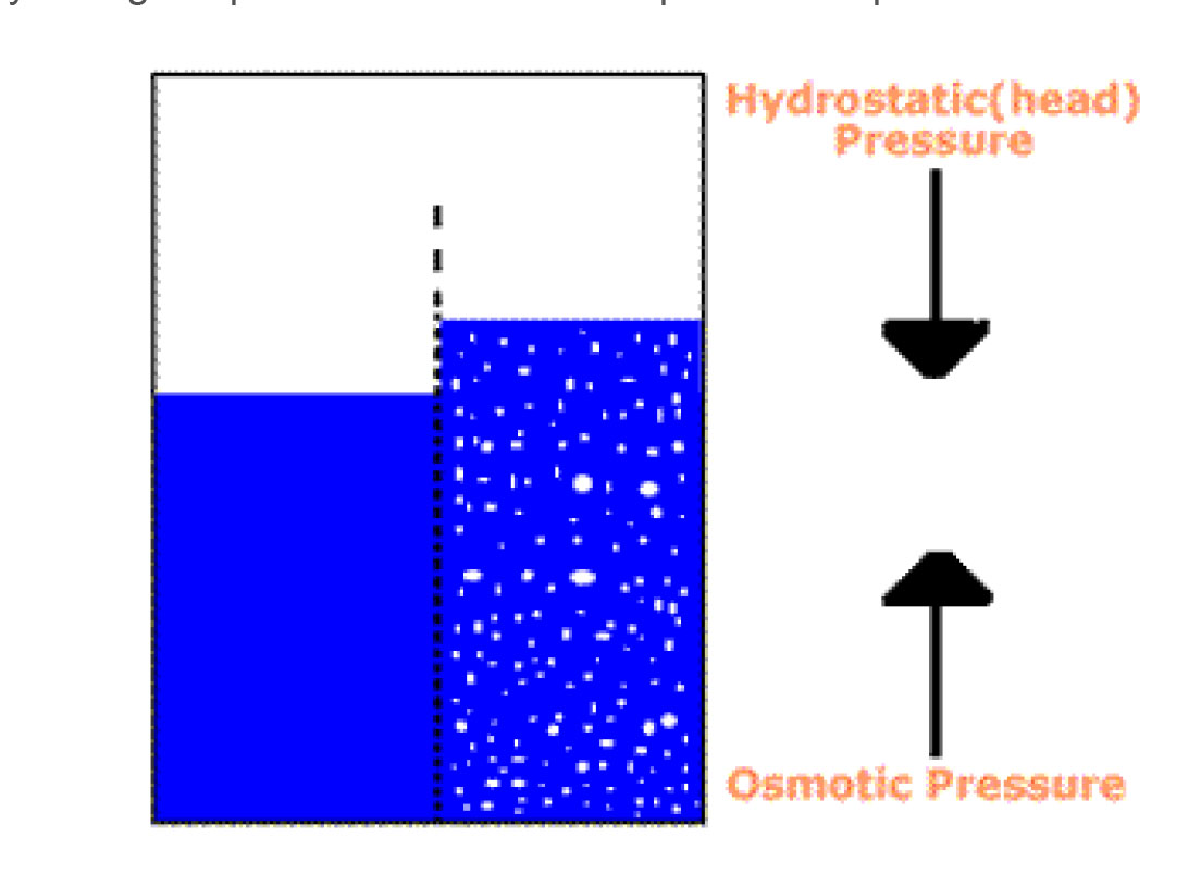 RO System - Imeltech